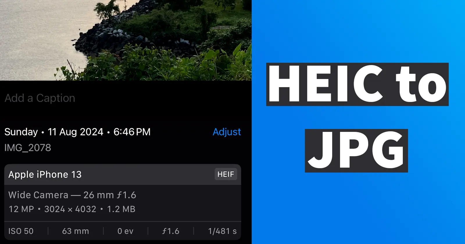 How to Convert HEIC to JPG on iPhone Mac Windows » Reveal That