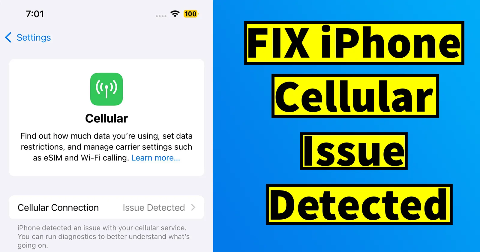 How to Fix iPhone Cellular Connection Issue Detected » Reveal That
